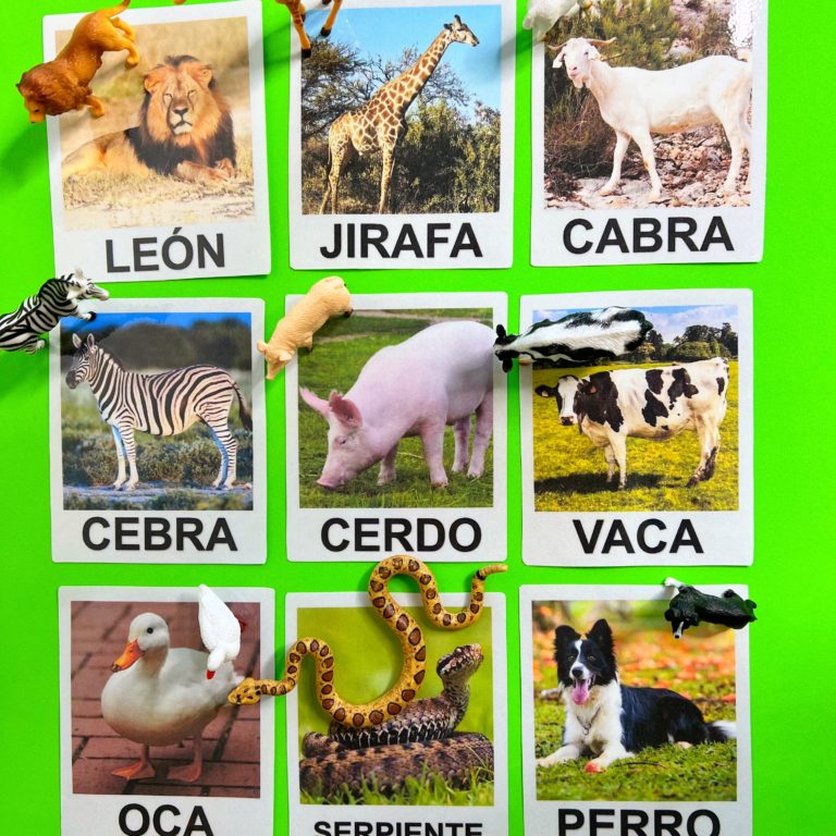 Fotografías de animales | Maestra con clase