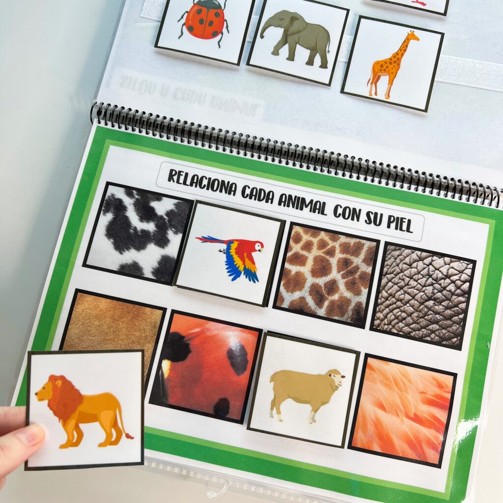 Los Animales | Maestra con clase