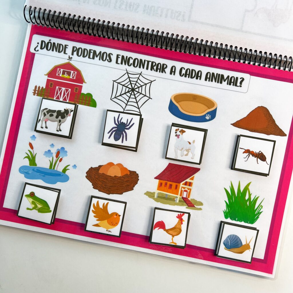 Los Animales | Maestra con clase